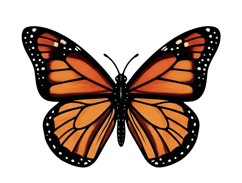 Fun Color Sheets - Free Printable Coloring Pages for All